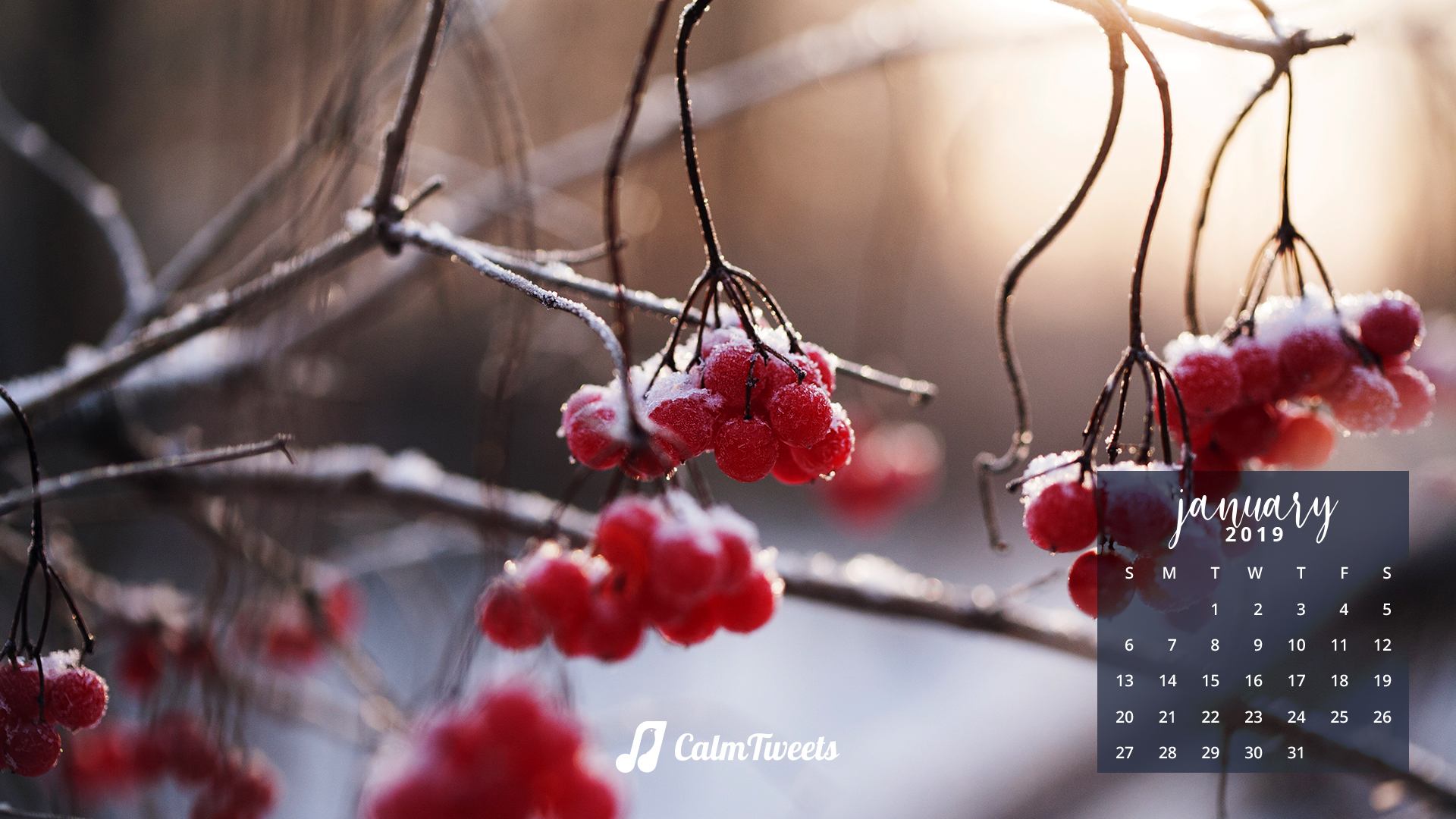 January Wallpaper 3 - CalmTweets
